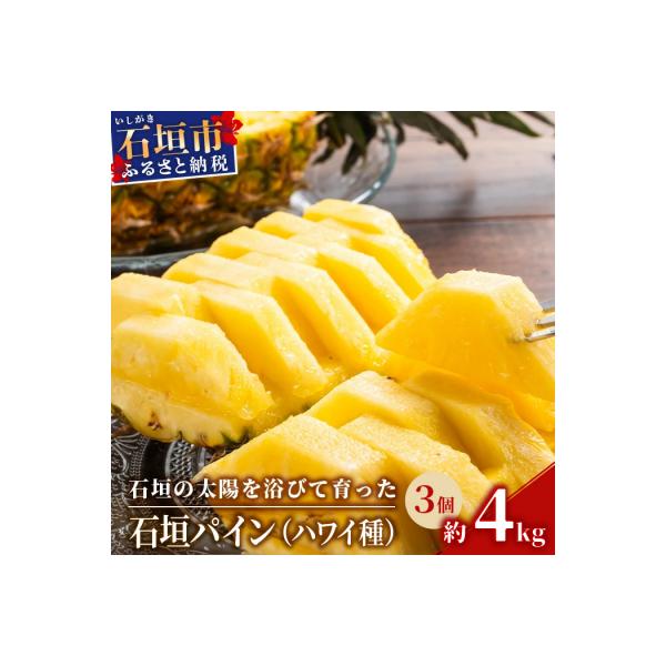 ■お礼品詳細　・提供元：石垣市■お申し込み・配送・その他　・発送時期：2026年7月上旬の発送予定になります。天候等により変動する可能性もございます。　・申込受付期間：2026年6月30日まで　・配達外のエリア：　・寄付証明書の送付時期目安...