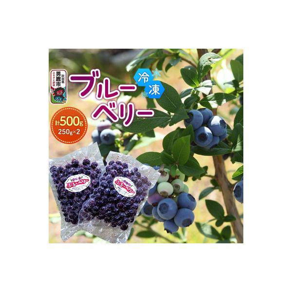 ■お礼品詳細　・配送温度帯：冷凍　・配送不可地域：沖縄県,離島　・提供元：男鹿市■お申し込み・配送・その他　・発送時期： 10日を目安に発送(休業日除く) ※年末年始等、長期休業や申し込みが殺到した場合など発送が遅れる場合もございます。　・...