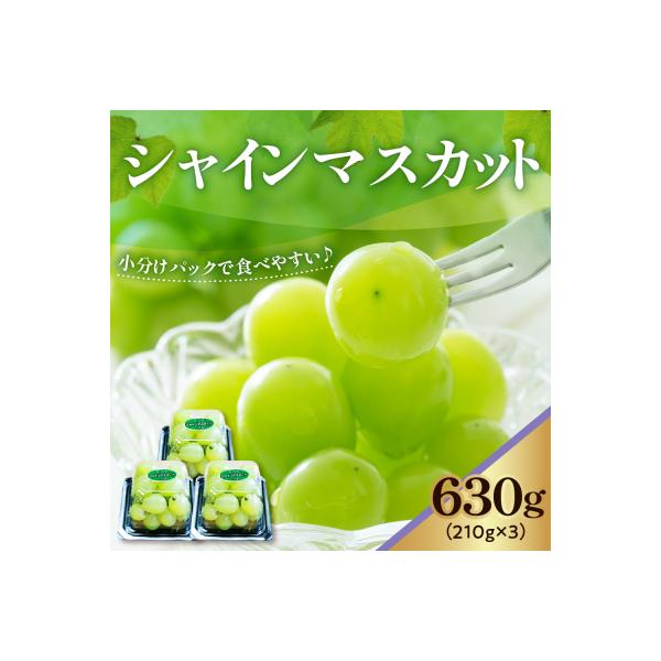 ■お礼品詳細　・提供事業者：島軒果樹園　・提供元：米沢市■お申し込み・配送・その他　・発送時期：2026年9月上旬〜10月下旬頃発送予定※生育状況によって前後する場合があります。　・申込受付期間：2026年10月13日まで ※数量に達した時...