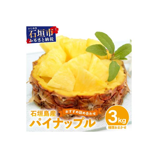 ■お礼品詳細　・提供元：石垣市■お申し込み・配送・その他　・発送時期：2026年4月下旬から順次発送いたします。　・申込受付期間：通年　・配達外のエリア：　・寄付証明書の送付時期目安：申込完了日から２週間程度