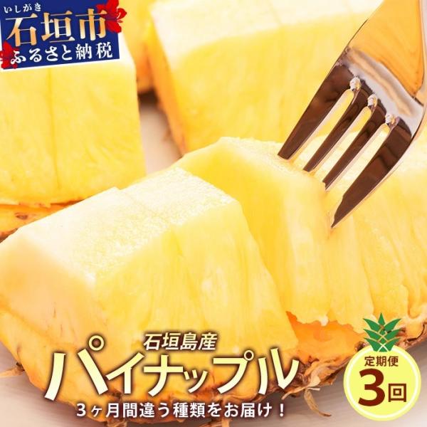 ■お礼品詳細　・提供元：石垣市■お申し込み・配送・その他　・発送時期：2026年5月・6月・7月頃(収穫の状況により、配送時期が多少前後する場合がございます。予めご了承ください。)　・申込受付期間：2026/03/31 23:59迄　・配達...