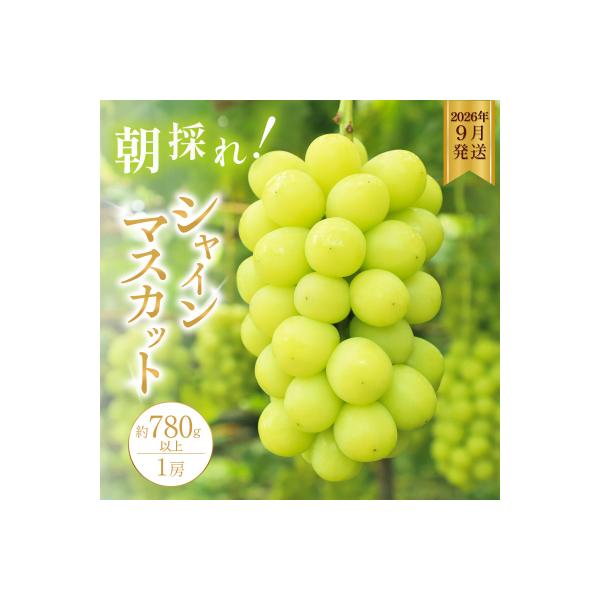 ■お礼品詳細　・配送方法：冷蔵配送　・賞味期限：冷蔵で発送から7日　・事業者名：BEKKO(神戸ぶどう農園)　・提供元：加西市■お申し込み・配送・その他　・発送時期：2026年9月上旬〜中旬　・申込受付期間：2026年9月10日まで　・配達...