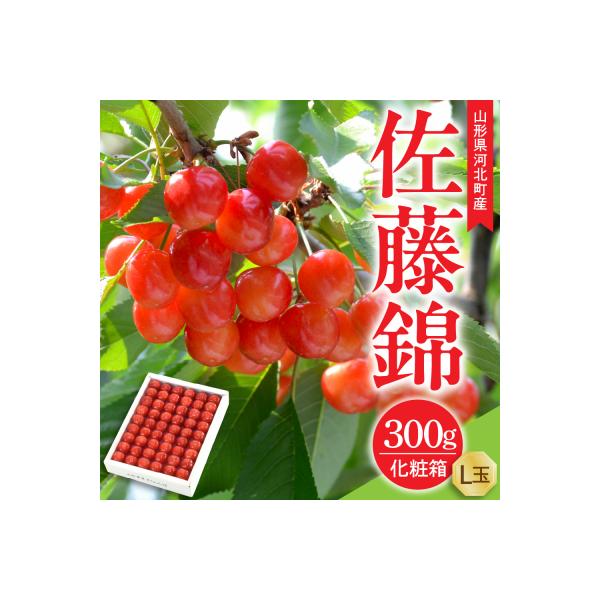 ■お礼品詳細　・提供元：河北町■お申し込み・配送・その他　・発送時期：2026年6月中旬〜6月下旬 ※配送時期は天候及び生育状況により前後いたします。　・申込受付期間：2026年5月下旬頃まで ※数量に達し次第受付終了　・配達外のエリア：離...