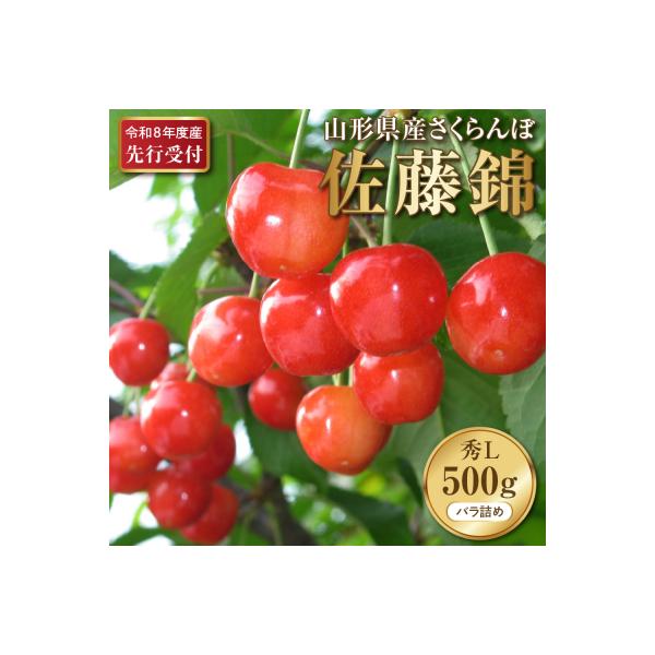 ■お礼品詳細　・提供元：河北町■お申し込み・配送・その他　・発送時期：2026年6月上旬〜2026年6月下旬 ※生育状況により配送時期が前後する場合がございます。　・申込受付期間：2026年5月31日まで※数量に達し次第終了。　・配達外のエ...