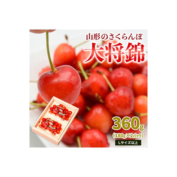 ■お礼品詳細　・配送方法：冷蔵　・事業者名：山形うまいずマーケット　・提供元：山形市■お申し込み・配送・その他　・発送時期：2026年06月15日頃〜2026年07月15日頃※状況により配送時期が前後する場合がございます。(着日指定不可)※...