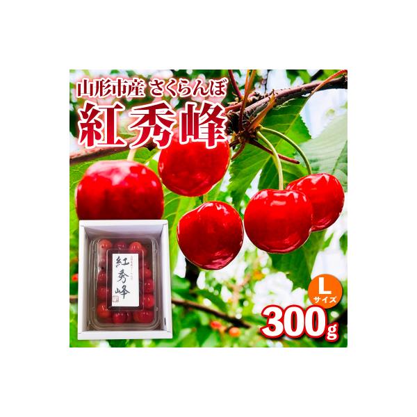 ■お礼品詳細　・配送方法：冷蔵　・事業者名：株式会社山美ファーム　・提供元：山形市■お申し込み・配送・その他　・発送時期：2026年06月10日頃〜2026年07月08日頃※状況により配送時期が前後する場合がございます。(着日指定不可)※山...