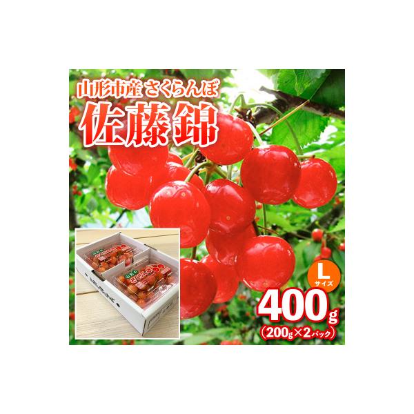 ■お礼品詳細　・配送方法：冷蔵　・事業者名：株式会社山美ファーム　・提供元：山形市■お申し込み・配送・その他　・発送時期：2026年06月10日頃〜2026年07月05日頃※状況により配送時期が前後する場合がございます。(着日指定不可)※山...