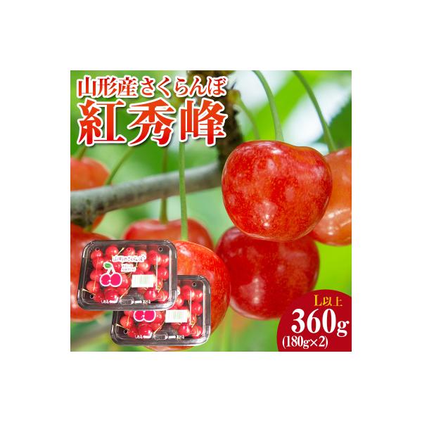 ■お礼品詳細　・配送方法：冷蔵　・事業者名：ヤマイチ青果株式会社　・提供元：山形市■お申し込み・配送・その他　・発送時期：2026年06月20日頃〜2026年07月05日頃※状況により配送時期が前後する場合がございます。(着日指定不可)※山...