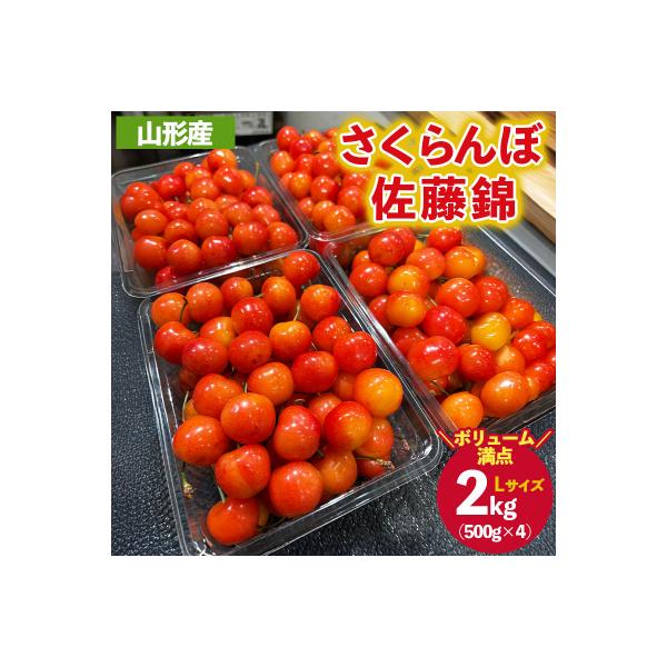 ■お礼品詳細　・配送方法：冷蔵　・事業者名：山形多田青果株式会社　・提供元：山形市■お申し込み・配送・その他　・発送時期：2026年06月10日頃〜2026年06月30日頃※状況により配送時期が前後する場合がございます。(着日指定不可)※山...