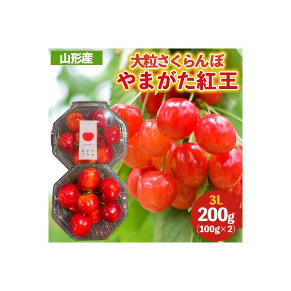 ■お礼品詳細　・配送方法：冷蔵　・事業者名：山形多田青果株式会社　・提供元：山形市■お申し込み・配送・その他　・発送時期：2026年06月15日頃〜2026年07月05日頃※状況により配送時期が前後する場合がございます。(着日指定不可)※山...