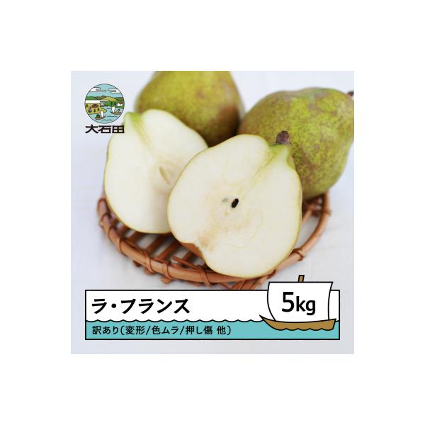 ■お礼品詳細　・産地：山形県　・内容量：約5kg（10~25玉）　・提供元：大石田町■お申し込み・配送・その他　・発送時期：入金確認後、11月上旬~12月下旬頃に順次発送(生育の状況により多少前後することがあります。)　・申込受付期間：20...