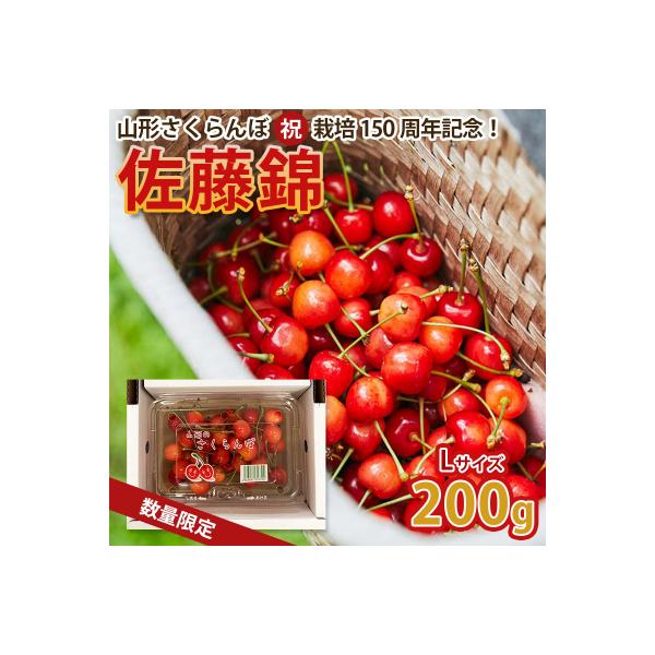 ■お礼品詳細　・配送方法：冷蔵　・事業者名：やまもりやまがた　・提供元：山形市■お申し込み・配送・その他　・発送時期：2026年06月05日頃〜2026年07月05日頃※状況により配送時期が前後する場合がございます。(着日指定不可)※山形市...