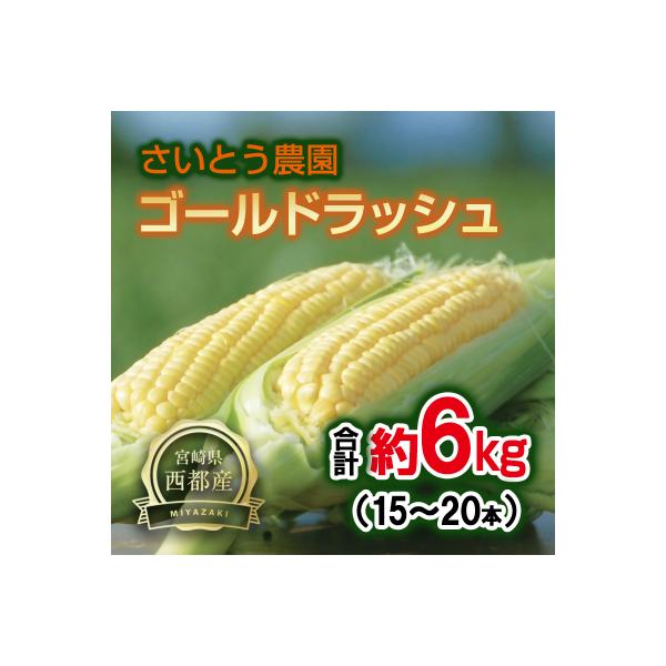 ■お礼品詳細　・内容量：とうもろこし約6kg　・消費期限：発送から1週間程度（冷蔵庫に保管の上お早目にお召し上がりください）　・発送方法：冷蔵便　・提供事業者：株式会社池商　・提供元：西都市■お申し込み・配送・その他　・発送時期：令和8年5...