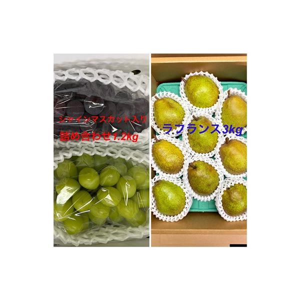 ■お礼品詳細　・配送方法：通常便　・事業者：吉田果樹園　・提供元：上山市■お申し込み・配送・その他　・発送時期：◆ぶどう:2026年10月頃(常温)◆ラ・フランス:2026年11月〜12月迄(常温)※ご不在日が多く配達が困難な場合、お礼品や...