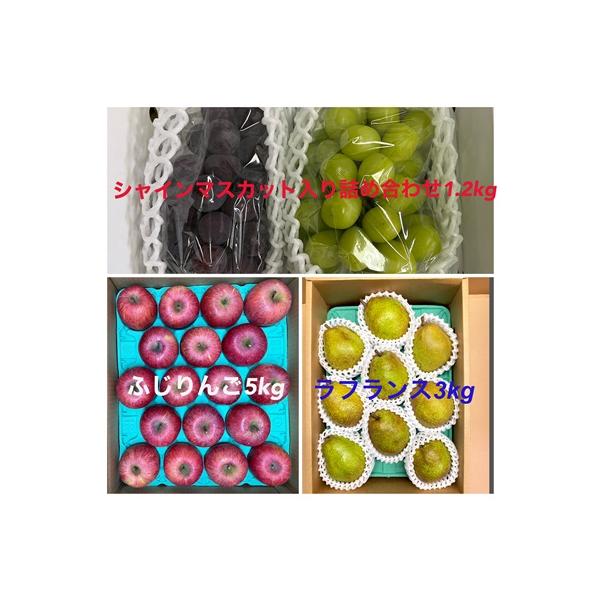 ■お礼品詳細　・配送方法：通常便　・事業者：吉田果樹園　・提供元：上山市■お申し込み・配送・その他　・発送時期：◆ぶどう:2026年10月頃(常温)◆ラ・フランス:2026年11月〜12月迄(常温)◆りんご:2026年12月〜2027年1月...