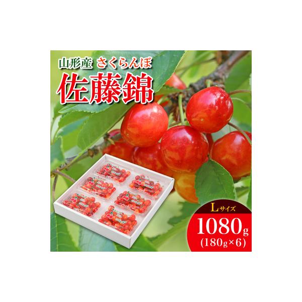 ■お礼品詳細　・配送方法：冷蔵　・事業者名：株式会社丸勘山形青果市場　・提供元：山形市■お申し込み・配送・その他　・発送時期：2026年06月01日頃〜2026年06月30日頃※状況により配送時期が前後する場合がございます。(着日指定不可)...