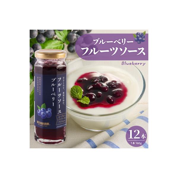 ■お礼品詳細　・容量：フルーツソース　ブルーベリー　160g×12本　・賞味期限：15か月　・保存方法：常温　・原材料：ブルーベリー（輸入）、砂糖、イソマルトオリゴ糖、洋酒 / 増粘多糖類、酸味料、香料　・配送方法：常温便　・提供事業者：和...