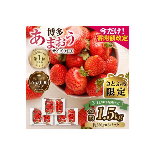 ■お礼品詳細　・内容量：約250g×6パック　・配送種別：冷蔵　・提供元：JAむなかた農産物直売所「ほたるの里」　・提供元：宗像市■お申し込み・配送・その他　・発送時期：2026年2月〜2026年3月お届けとなります。※交通状況によりお届け...