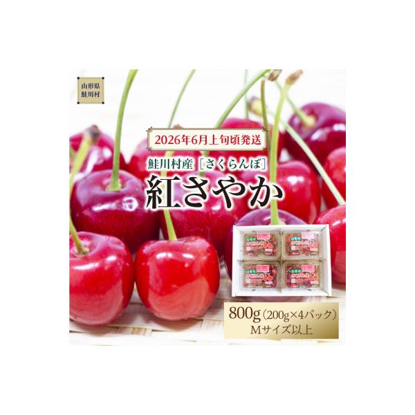 ■お礼品詳細　・内容量：紅さやか　800g(200g×4パック)　・産地・産年：山形県鮭川村・令和8年産　・賞味期限：発送日含め2〜3日程度。※受取後は、すぐに商品の状態をご確認ください。　・配送時期：令和8年6月上旬頃　※受付順に発送とな...