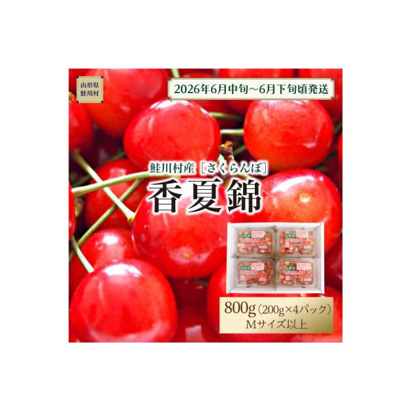 ■お礼品詳細　・内容量：香夏錦　800g(200g×4パック)　・産地・産年：山形県鮭川村・令和8年産　・賞味期限：発送日含め2〜3日程度。※受取後は、すぐに商品の状態をご確認ください。　・配送時期：令和8年6月中旬頃　※受付順に発送となり...