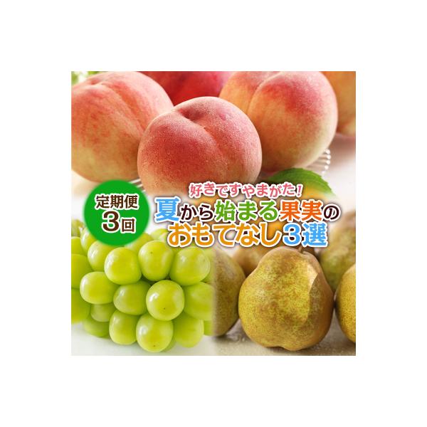 ■お礼品詳細　・配送方法：冷蔵/常温　・事業者名：山形多田青果株式会社　・アレルギー情報：もも　・提供元：山形市■お申し込み・配送・その他　・発送時期：2026年08月15日頃〜2026年11月30日頃※状況により配送時期が前後する場合がご...