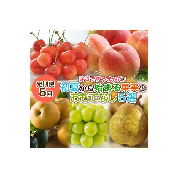 ■お礼品詳細　・配送方法：常温/冷蔵　・事業者名：山形多田青果株式会社　・アレルギー情報：もも　・提供元：山形市■お申し込み・配送・その他　・発送時期：2026年06月25日頃〜2026年11月30日頃※状況により配送時期が前後する場合がご...