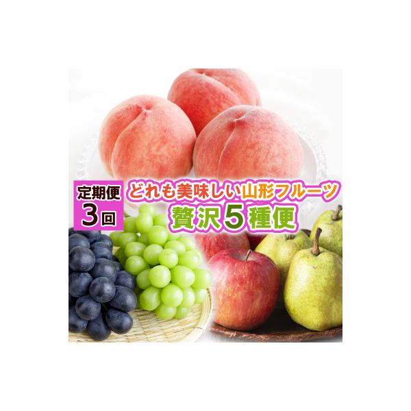 ■お礼品詳細　・配送方法：常温/冷蔵　・事業者名：株式会社froSch　・アレルギー情報：もも/りんご　・提供元：山形市■お申し込み・配送・その他　・発送時期：2026年08月05日頃〜2026年12月05日頃※状況により配送時期が前後する...