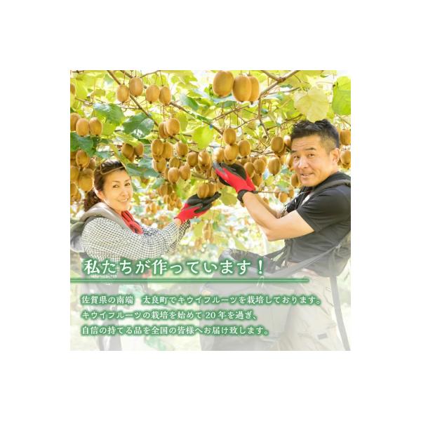 ■お礼品詳細　・産地直送！：太良町で丹精込めて育てた冬から春が旬のキウイフルーツをバラ詰め合わせでお届け　・提供元：太良町■お申し込み・配送・その他　・発送時期：2026年4月上旬までに順次発送予定　・申込受付期間：2026年3月24日まで...