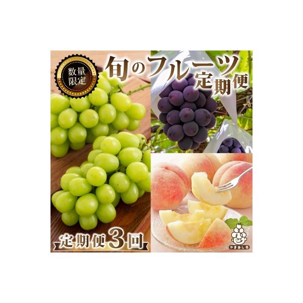 ■お礼品詳細　・配送種別：冷蔵便　・提供元：有限会社百花（ＳＴ）■お申し込み・配送・その他　・発送時期：桃:6月下旬〜8月下旬頃、黒ぶどう:8月上旬〜9月下旬頃、シャインマスカット:8月下旬〜10月中旬頃 より順次発送予定 ※お申込時期によ...