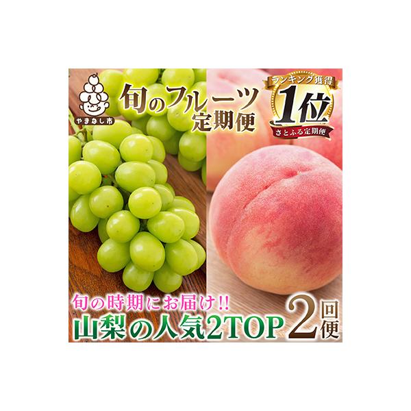 ■お礼品詳細　・配送種別：冷蔵便　・提供元：有限会社百花（ＳＴ）■お申し込み・配送・その他　・発送時期：桃:6月下旬〜8月下旬頃 、シャインマスカット:8月下旬〜10月中旬頃 より順次発送予定 ※発送が前後したりお申込時期により翌年発送にな...