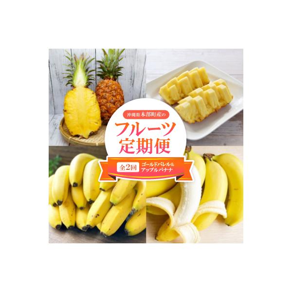 ■お礼品詳細　・配送種別：冷蔵便　・提供元：トウメファーム■お申し込み・配送・その他　・発送時期：【1回目】発送月の前月20日までのお支払いで発送月上旬より順次発送【2回目以降】発送月上旬より順次発送　・申込受付期間：〜2026-07-20...