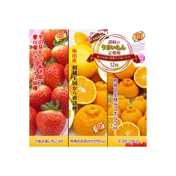 ■お礼品詳細　・配送種別：冷蔵便　・提供元：産直あきんど（坂出市）■お申し込み・配送・その他　・発送時期：【1回目】発送月の前月末日までのお支払いで発送月中旬より順次発送【2回目以降】発送月中旬より順次発送　・申込受付期間：通年　・配達外の...