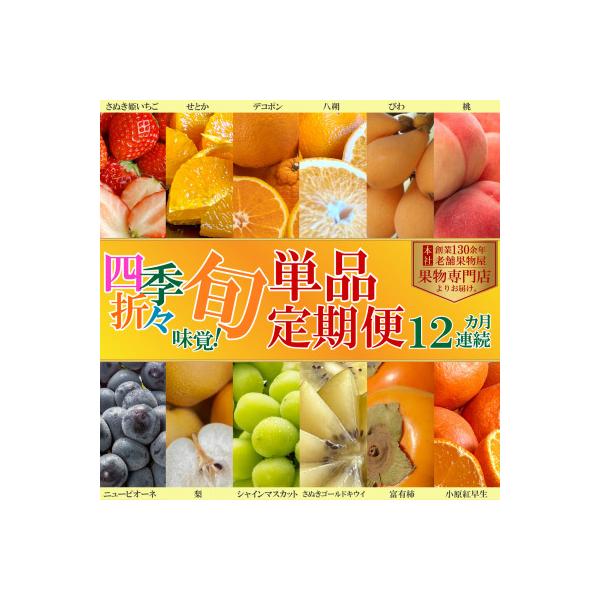 ■お礼品詳細　・配送種別：冷蔵便　・提供元：北浜商店（観音寺市）■お申し込み・配送・その他　・発送時期：【1回目】発送月の前月20日までのお支払いで発送月上旬より順次発送【2回目以降】発送月上旬より順次発送　・申込受付期間：通年　・配達外の...