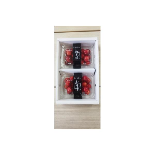 ■お礼品詳細　・配送種別：冷蔵便　・提供元：山美ファーム■お申し込み・配送・その他　・発送時期：【1回目】発送月の前月末日までのお支払いで発送月中旬より順次発送【2回目以降】発送月中旬より順次発送　・申込受付期間：2025-07-30〜20...