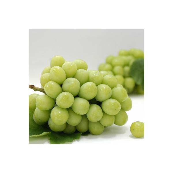 ■お礼品詳細　・配送種別：冷蔵便　・提供元：（株）五色青果（三豊市）■お申し込み・配送・その他　・発送時期：【1回目】発送月の前月20日までのお支払いで発送月上旬より順次発送【2回目以降】発送月上旬より順次発送　・申込受付期間：〜2025-...