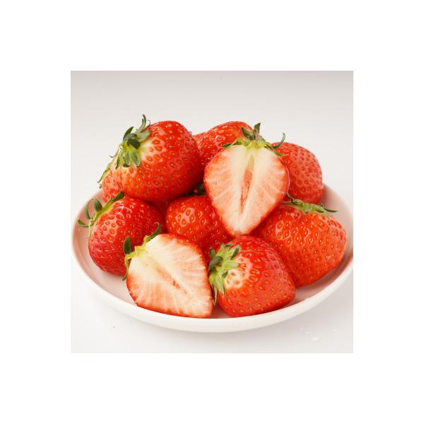 ■お礼品詳細　・配送種別：冷蔵便　・提供元：Ｙ’ｓファーム■お申し込み・配送・その他　・発送時期：【1回目】発送月の前月20日までのお支払いで発送月上旬より順次発送【2回目以降】発送月上旬より順次発送　・申込受付期間：〜2025-12-31...