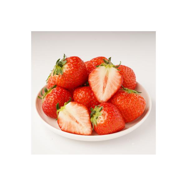 ■お礼品詳細　・配送種別：冷蔵便　・提供元：Ｙ’ｓファーム■お申し込み・配送・その他　・発送時期：【1回目】発送月の前月末日までのお支払いで発送月中旬より順次発送【2回目以降】発送月中旬より順次発送　・申込受付期間：〜2025-12-31　...