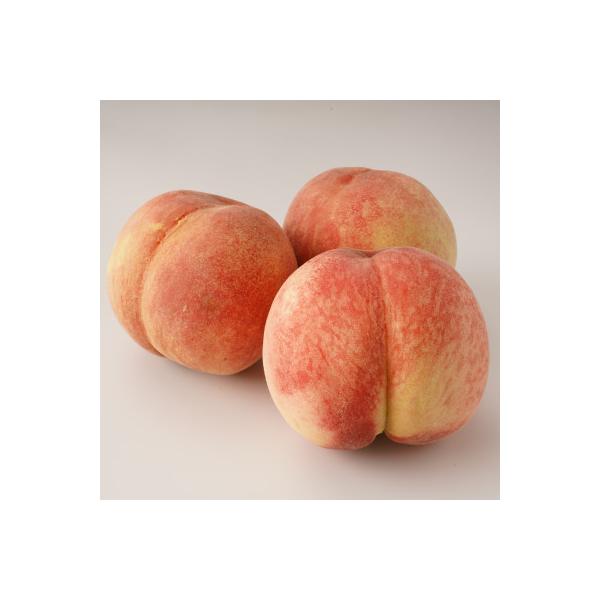 ■お礼品詳細　・配送種別：冷蔵便　・提供元：Ｙ’ｓファーム■お申し込み・配送・その他　・発送時期：【1回目】発送月の前月20日までのお支払いで発送月上旬より順次発送【2回目以降】発送月上旬より順次発送　・申込受付期間：〜2025-12-31...