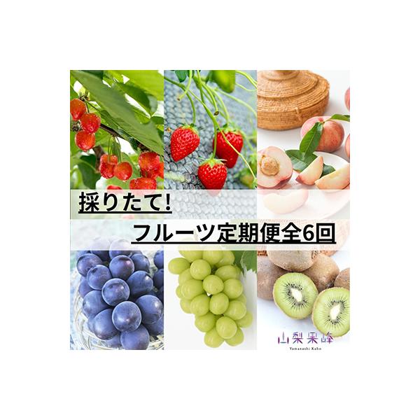 ■お礼品詳細　・配送種別：冷蔵便　・提供元：山梨果峰（山梨市）■お申し込み・配送・その他　・発送時期：【1回目】発送月の前月20日までのお支払いで発送月上旬より順次発送【2回目以降】発送月上旬より順次発送　・申込受付期間：通年　・配達外のエ...