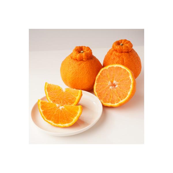 ■お礼品詳細　・配送種別：冷蔵便　・提供元：（株）五色青果（三豊市）■お申し込み・配送・その他　・発送時期：【1回目】発送月の前月20日までのお支払いで発送月上旬より順次発送【2回目以降】発送月上旬より順次発送　・申込受付期間：〜2025-...