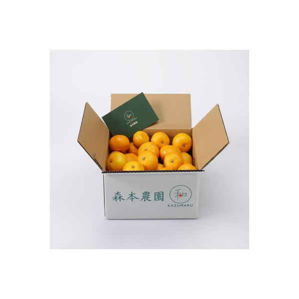 ■お礼品詳細　・配送種別：通常　・提供元：森本農園　海南市■お申し込み・配送・その他　・発送時期：【1回目】発送月の前月末日までのお支払いで発送月中旬より順次発送【2回目以降】発送月中旬より順次発送　・申込受付期間：〜2025-12-31　...