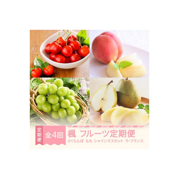 ■お礼品詳細　・配送種別：冷蔵便　・提供元：村山市観光物産協会（丸松）■お申し込み・配送・その他　・発送時期：【1回目】発送月の前月末日までのお支払いで発送月中旬より順次発送【2回目以降】発送月中旬より順次発送　・申込受付期間：〜2026-...