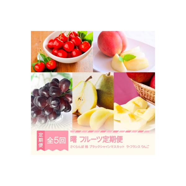 ■お礼品詳細　・配送種別：冷蔵便　・提供元：村山市観光物産協会（丸松）■お申し込み・配送・その他　・発送時期：【1回目】発送月の前月末日までのお支払いで発送月中旬より順次発送【2回目以降】発送月中旬より順次発送　・申込受付期間：〜2026-...