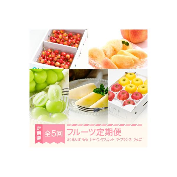 ■お礼品詳細　・配送種別：冷蔵便　・提供元：株式会社東根農産センター（果樹）（村山市）■お申し込み・配送・その他　・発送時期：【1回目】発送月の前月末日までのお支払いで発送月中旬より順次発送【2回目以降】発送月中旬より順次発送　・申込受付期...