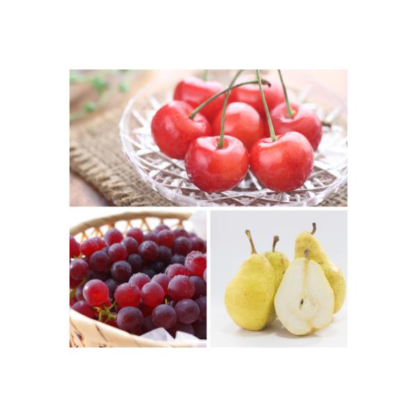 ■お礼品詳細　・配送種別：冷蔵便　・提供元：株式会社エナジーファーム■お申し込み・配送・その他　・発送時期：【1回目】発送月の前月20日までのお支払いで発送月上旬より順次発送【2回目以降】発送月上旬より順次発送　・申込受付期間：通年　・配達...