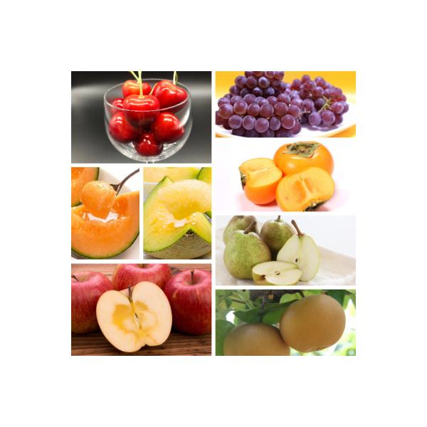 ■お礼品詳細　・配送種別：冷蔵便　・提供元：株式会社エナジーファーム■お申し込み・配送・その他　・発送時期：【1回目】発送月の前月20日までのお支払いで発送月上旬より順次発送【2回目以降】発送月上旬より順次発送　・申込受付期間：通年　・配達...