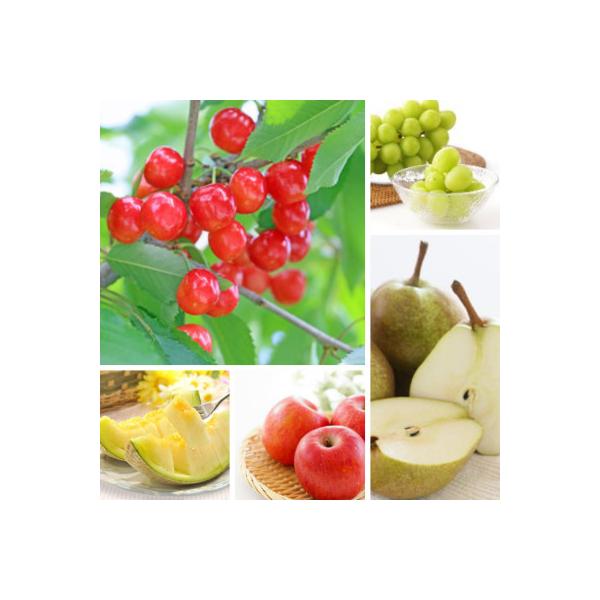 ■お礼品詳細　・配送種別：冷蔵便　・提供元：株式会社エナジープランニング■お申し込み・配送・その他　・発送時期：【1回目】発送月の前月20日までのお支払いで発送月上旬より順次発送【2回目以降】発送月上旬より順次発送　・申込受付期間：通年　・...