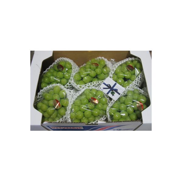 ■お礼品詳細　・配送種別：冷蔵便　・提供元：（株）五色青果（三豊市）■お申し込み・配送・その他　・発送時期：【1回目】発送月の10日までのお支払いで発送月下旬より順次発送【2回目以降】発送月下旬より順次発送　・申込受付期間：通年　・配達外の...