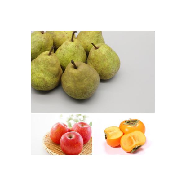 ■お礼品詳細　・配送種別：通常　・提供元：株式会社エナジープランニング■お申し込み・配送・その他　・発送時期：【1回目】発送月の前月20日までのお支払いで発送月上旬より順次発送【2回目以降】発送月上旬より順次発送　・申込受付期間：〜2026...