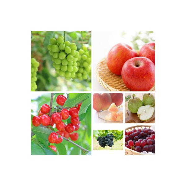 ■お礼品詳細　・配送種別：冷蔵便　・提供元：合同会社Ｃ＆Ｐ■お申し込み・配送・その他　・発送時期：【1回目】発送月の前月20日までのお支払いで発送月上旬より順次発送【2回目以降】発送月上旬より順次発送　・申込受付期間：通年　・配達外のエリア...